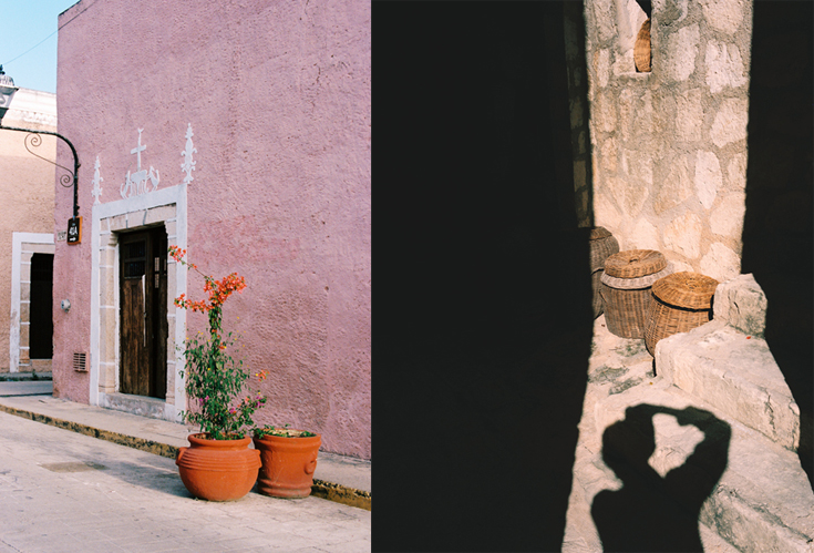 Cecy Young | PHOTOGRAPHER | SIGNO official website